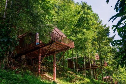 De 10 beste resorts in Suriname | Booking.com